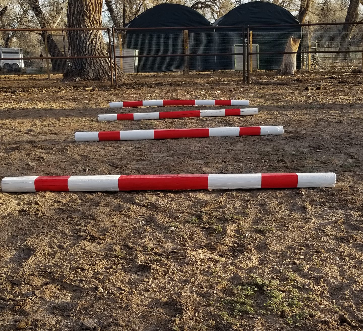 Home-made cavaletti – Wilderwood