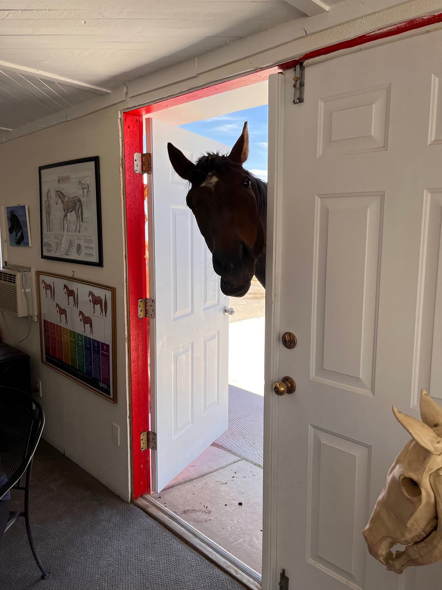 CLASSROOM-DOOR – Wilderwood