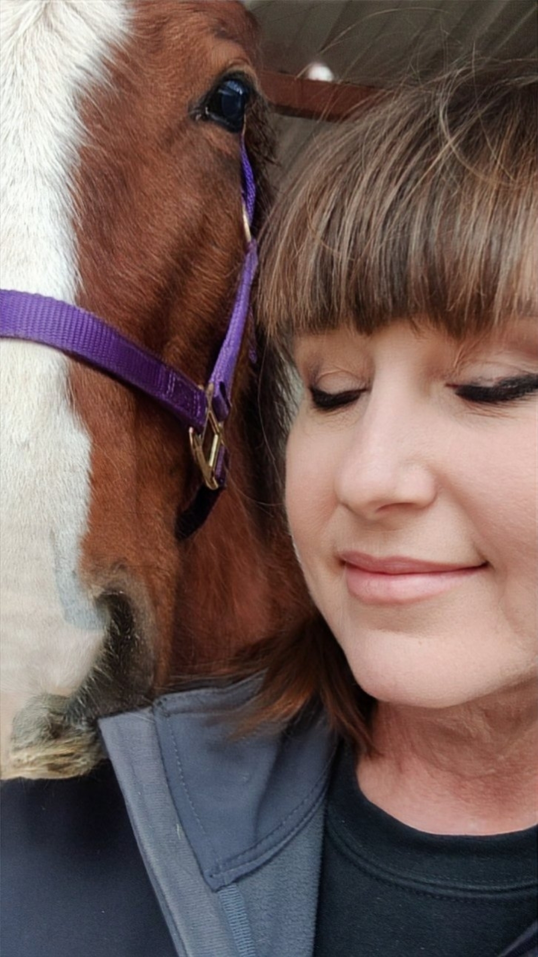 Wilderwood – Autistic Led, Equine Inspired